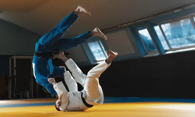 Judo Adalah: Pengertian, Sejarah, Manfaat, Tujuan, Teknik Dasar, dan ...
