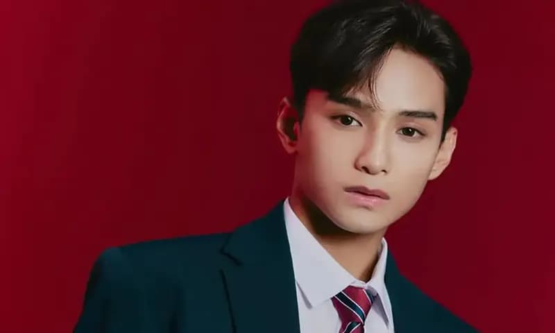 Profil dan Biodata Muhammad Zayyan, Idol K-Pop Asal Indonesia yang ...